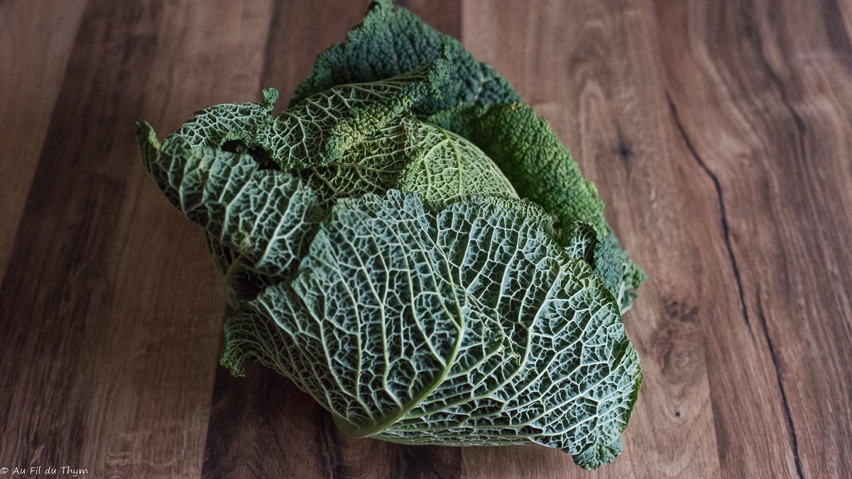 Comment cuisiner le chou pomme (ou chou vert)? - Au Fil du Thym