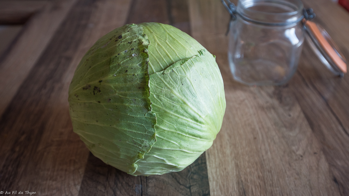 Comment cuisiner le chou blanc ou chou cabus ? - Au Fil du Thym