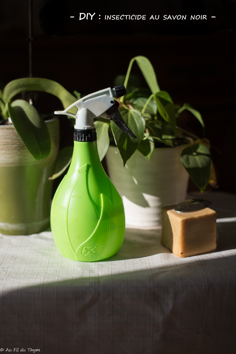 DIY - Insecticide au savon noir (maison) - Au Fil du Thym