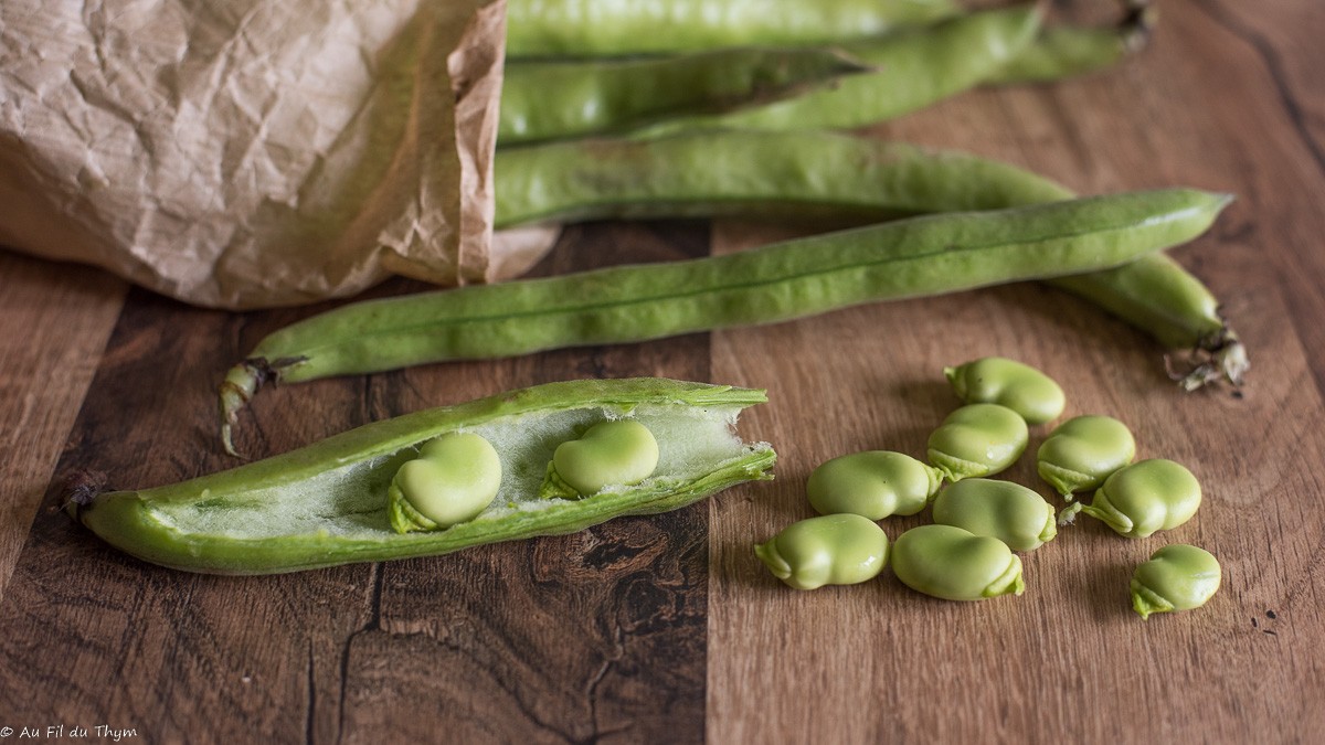 Comment cuisiner les fèves ? - Au Fil du Thym